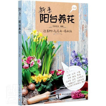 新手阳台养花