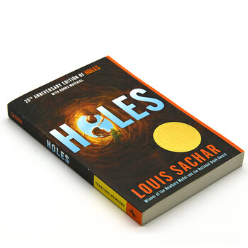 别有洞天 英文原版 Holes 路易斯·萨奇尔作品 Louis Sachar 纽伯瑞金奖 少年