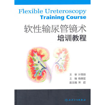 软性输尿管镜术培训教程 杨嗣星 人民卫生出版社 9787117203395