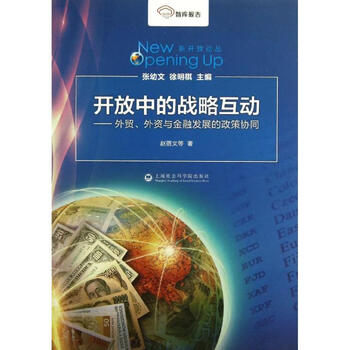 开放中的战略互动 赵蓓文 等  书籍