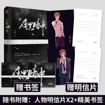 【赠谢岚山x沈流飞角色明信片】在黑暗中 金十四钗著 花火兄弟情双男主悬疑刑侦破案小说书籍