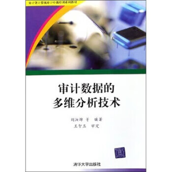 审计数据的多维分析技术