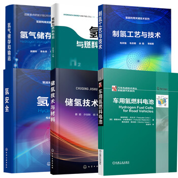 车用氢燃料电池+储氢技术与材料+氢能利用关键技术氢安全+氢能利用关键技术系列--制氢工艺与技术+氢能与燃料电池+氢气储存和输运