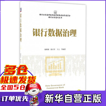 银行数据治理/银行业信息化丛书