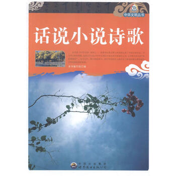 话说小说诗歌 文学 小说史--中国  图书
