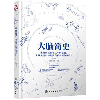 大脑简史 【正版书】