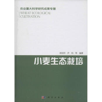 小麦生态栽培