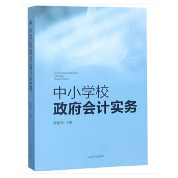 全新正版中小学校政府会计实务吴建华 编山东大学出版社978756076