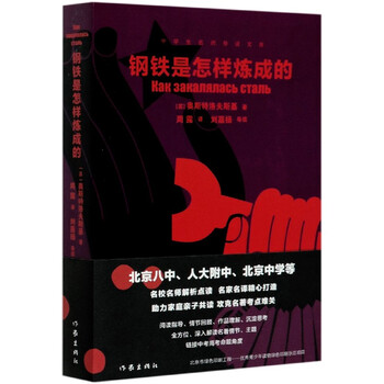 钢铁是怎样炼成的/中学生名师导读文库