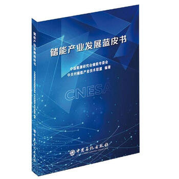 储能产业发展蓝皮书