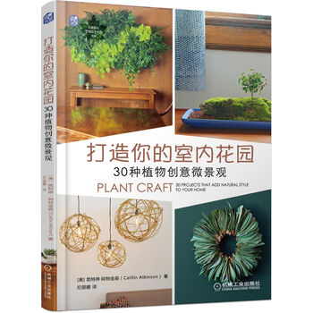 打造你的室内花园：30种植物创意微景观