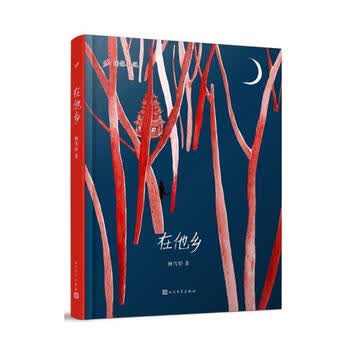 包邮：在他乡艺术短篇小说小说集中国当代 图书