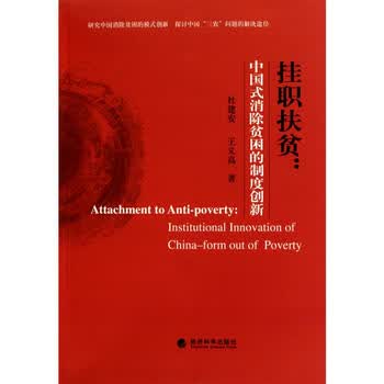 挂职扶贫：中国式消除贫困的制度创新