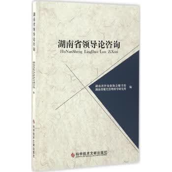 湖南省领导论咨询