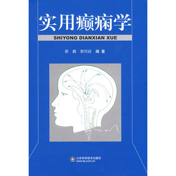 实用癫痫学 【正版书】