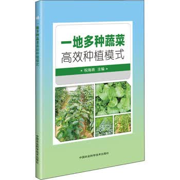一地多种蔬菜高效种植模式 祝海燕 编 书籍
