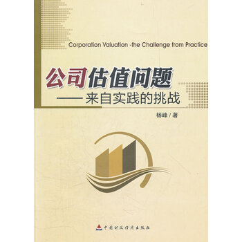 公司估值问题-来自实践的挑战