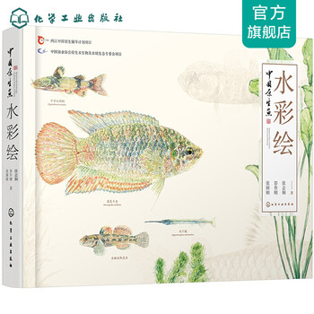 中国原生鱼水彩绘