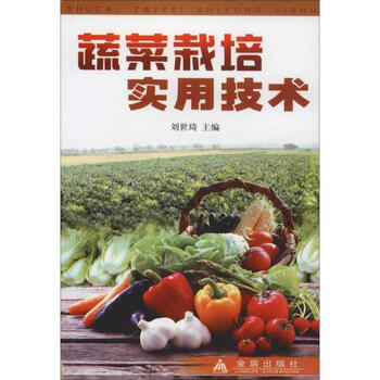 蔬菜栽培实用技术 刘世琦 编 书籍