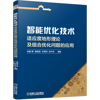 智能优化技术 适应度地形理论及组合优化问题的应用