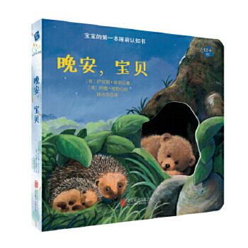 宝宝的本睡前认知书  晚安，宝贝