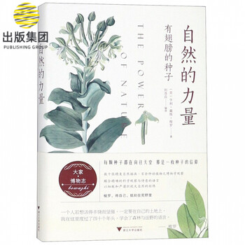 自然的力量(有翅膀的种子)