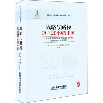 战略与路径 洪崎 等 主编 书籍
