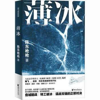 薄冰 陈东枪枪  书籍