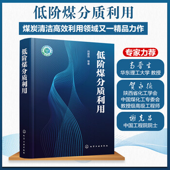 低阶煤分质利用