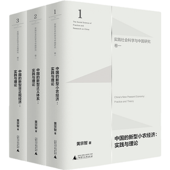 大学问·黄宗智·“实践社会科学与中国研究”三卷本（小农经济+正义体系+非正规经济）广西师范大学出版社