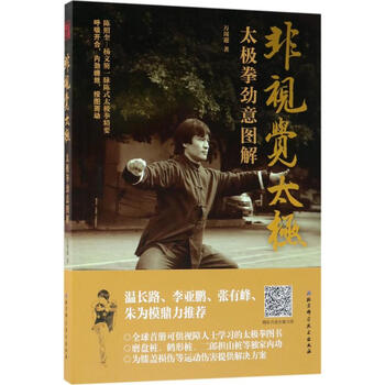 非视觉太极 万周迎  书籍