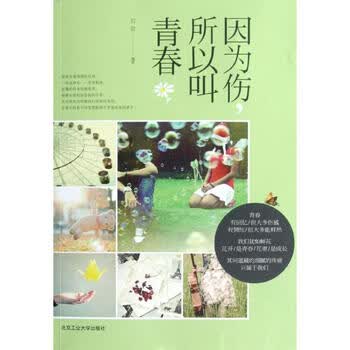 因为伤所以叫青春