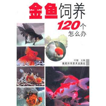 金鱼饲养120个怎么办