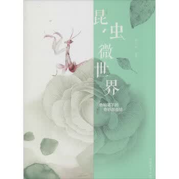 昆虫微世界  作 麦小朵 编者 书籍