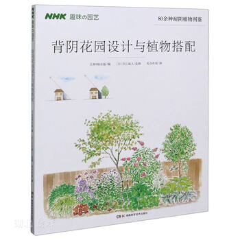 背阴花园设计与植物搭配