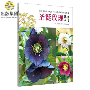 圣诞玫瑰栽培入门
