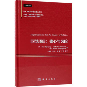 巨型项目 科学出版社 