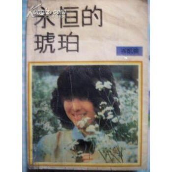 永恒的琥珀 岑凯伦