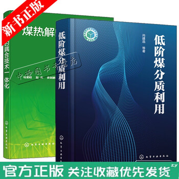2册 煤热解的耦合技术一体化+低阶煤分质利用 煤炭清洁高效转化利用 环境保护多联产原理 低温煤焦油热