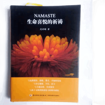 正版精装NAMASTE生命喜悦的祈祷   中国轻工业出版社49.8