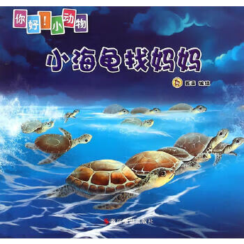 小海龟找妈妈