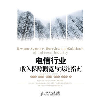 电信行业收入保障概览与实施指南【正版图书】