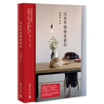 这世界偷偷爱着你,辉姑娘,湖南文艺出版社直发