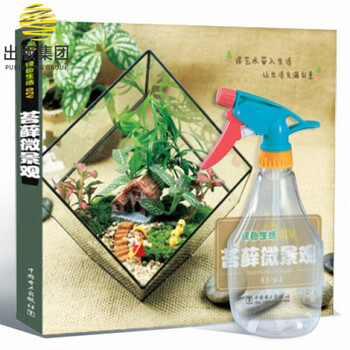 苔藓微景观(绿色生活DIY)+振兴喷壶600ML
