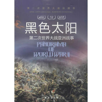 黑色太阳 胡元斌 书籍