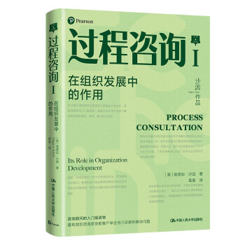 过程咨询Ⅰ：在组织发展中的作用