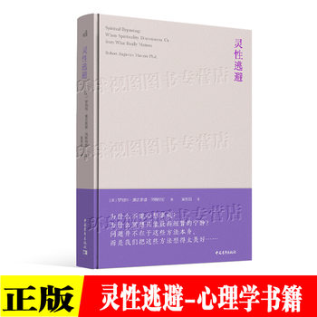 灵性逃避 精装 中国青年出版社