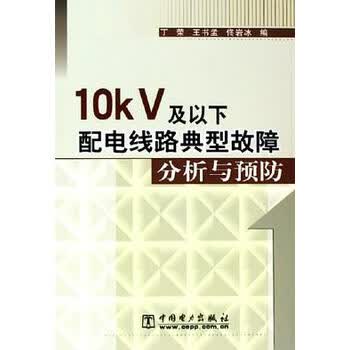 kV及以配电线路典型故障分析与预防 丁荣 中国电力出版社发行部 9787508333571