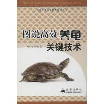 图说高效养龟关键技术