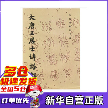 大唐王居士砖塔铭/历代碑帖法书选